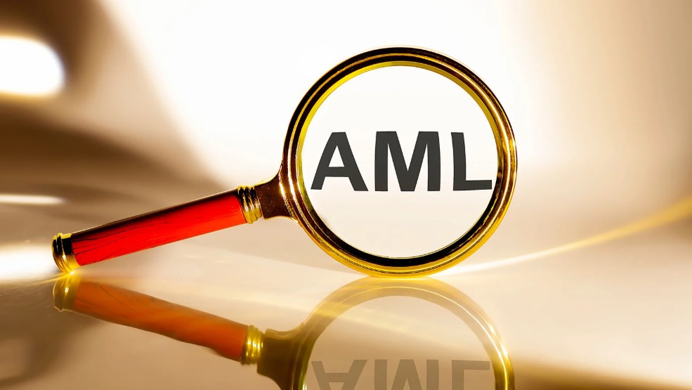 Navigating Money Laundering Supervision: A Friendly Guide for Business ...